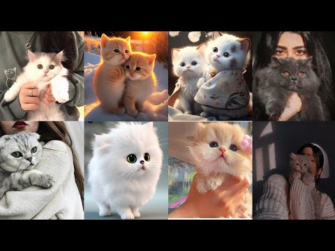 Cute Cat Images For whatsapp DP/ Cat Photo For Girls / Nidi Creation