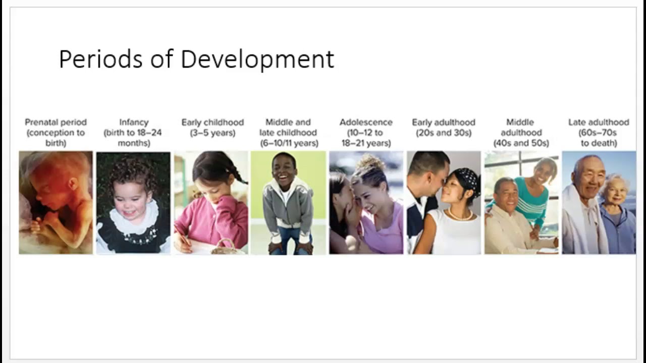 The Lifespan Perspective - YouTube