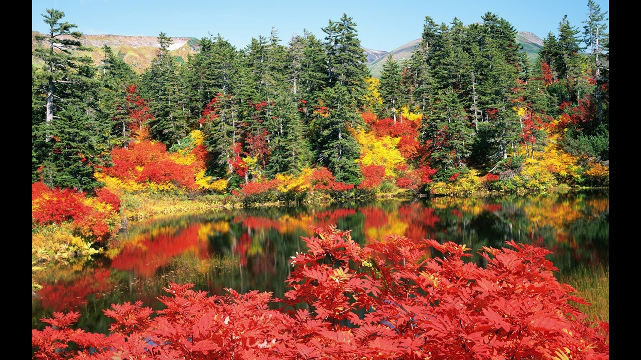 Paisajes Coloridos - YouTube