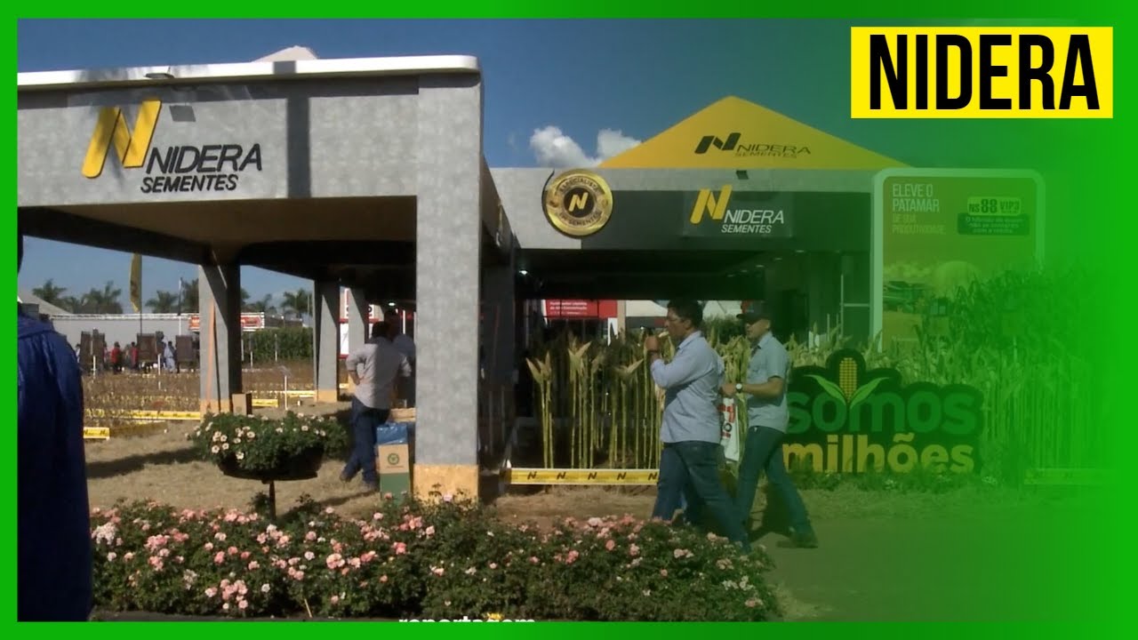 Nidera: Lançamento de cultivares - YouTube
