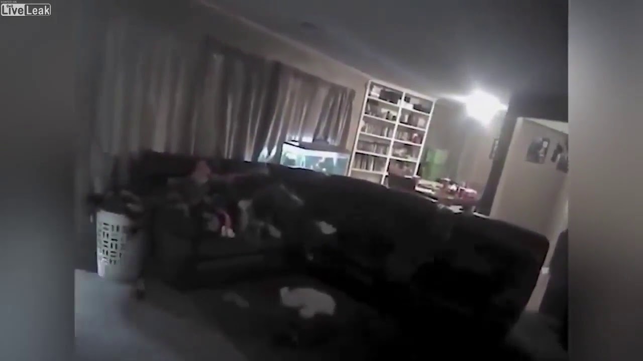 Wichita Police Officer Dexter Betts Shoots Little Girl In Face - YouTube