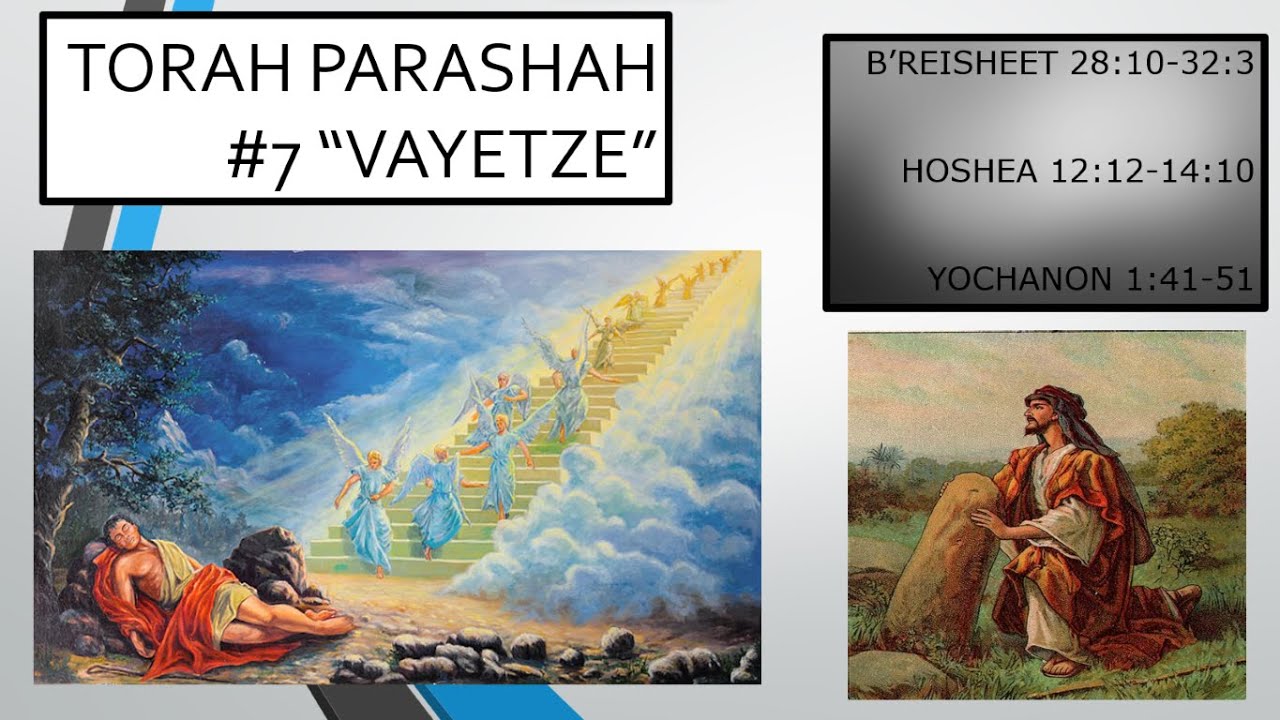 November 25, 2023 | Torah Portion: Vayetze/ ("And He Went Out ...