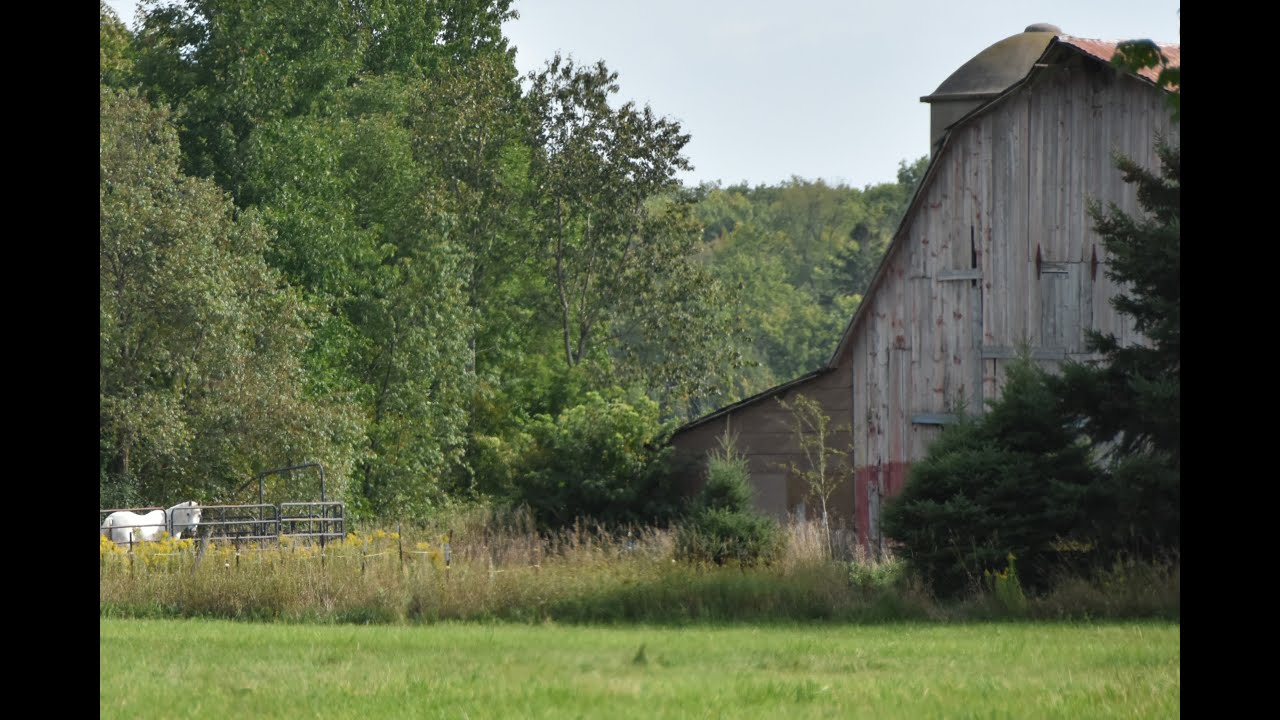 Unique Wisconsin - Rustic Road 97 - YouTube