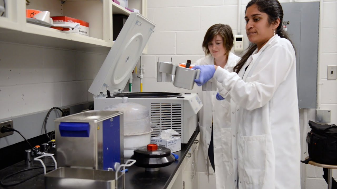 Dartmouth Engineering PhD Innovation Program - YouTube