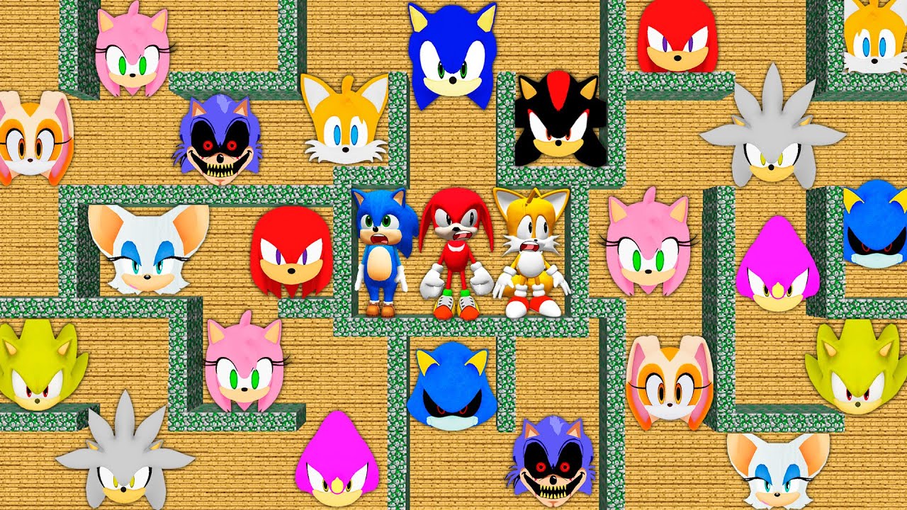 How to escape MAZE of SONIC in MINECRAFT animation! SHADOW SILVER AMY ...