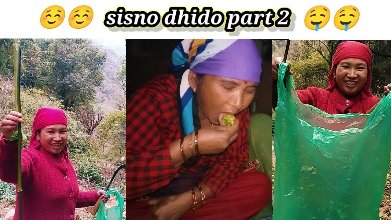 Sisno dhido part 2 aayo hai guys ️ sano ramailo pal pariwar sanga ☺️# ...