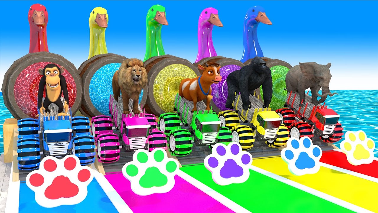 Long Slide Game With Elephant Gorilla Buffalo Hippopotamus Tiger 3d ...