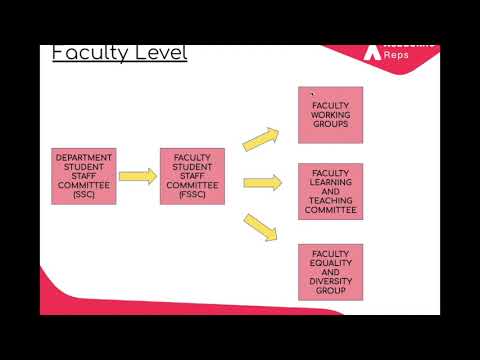 Academic Rep Structures (Advanced) - YouTube