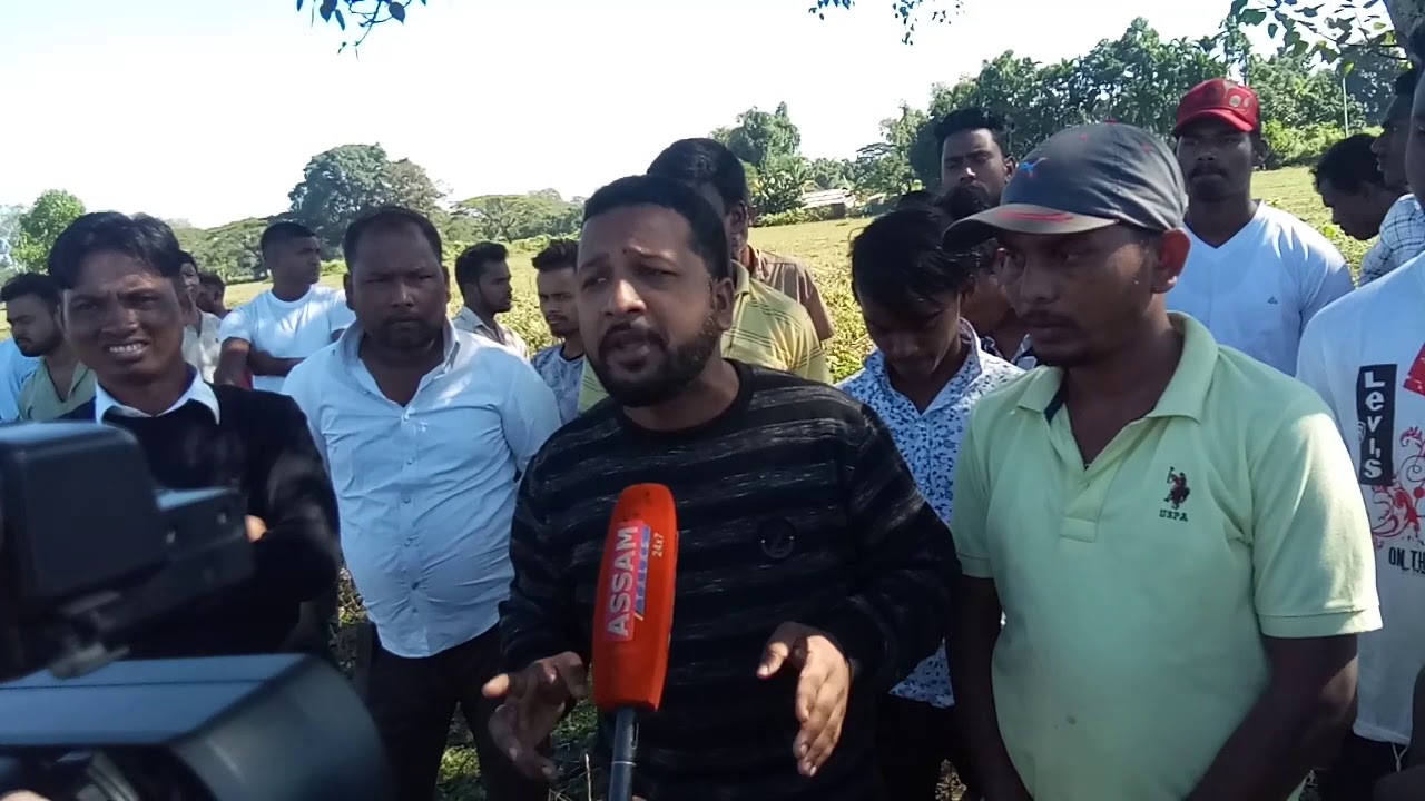 Kharjan Tea estate news - YouTube