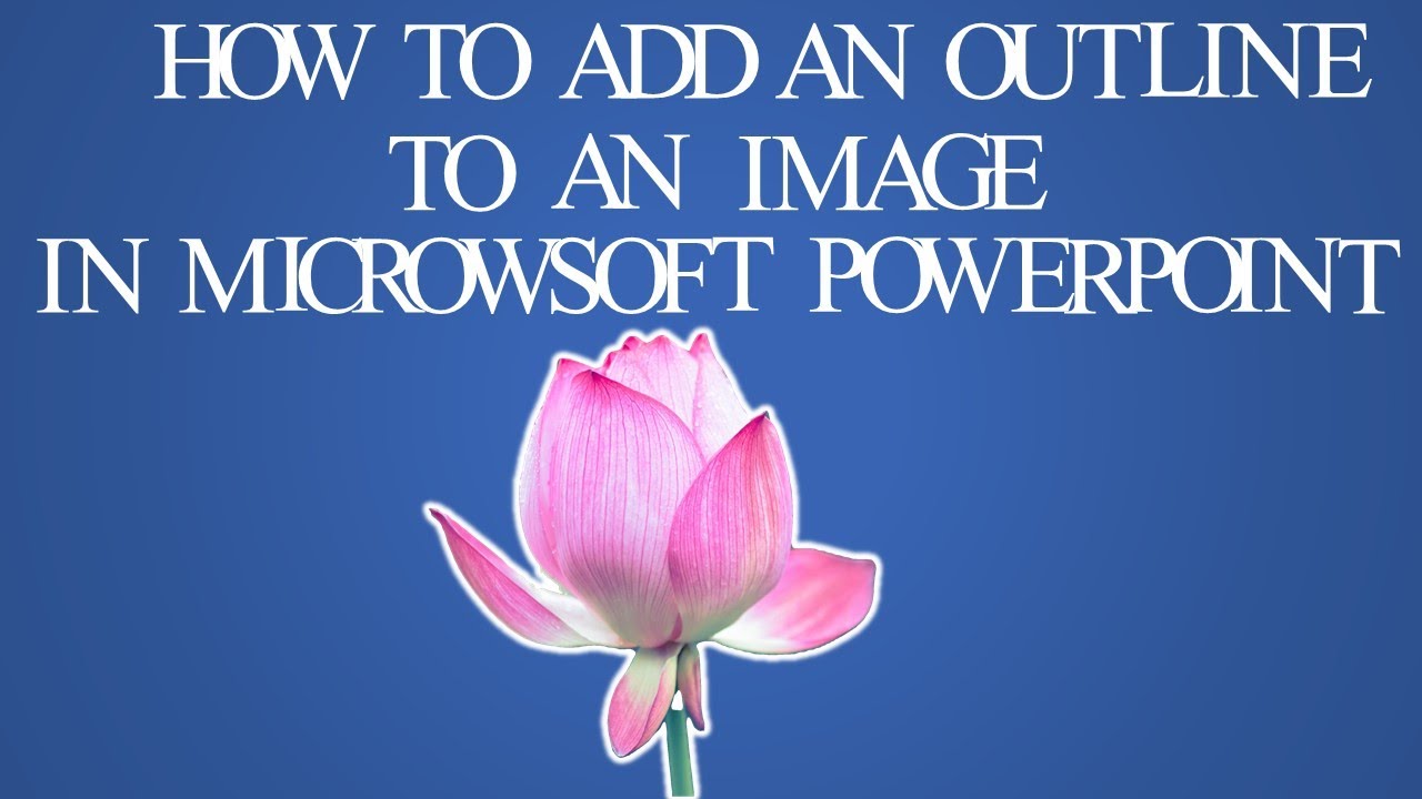 How to Add an Outline to an Image in Microsoft PowerPoint #PowerPoint # ...