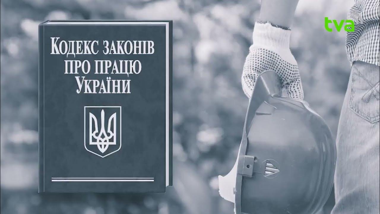 Електронна трудова книжка деталі її оформлення обговорили у передачі