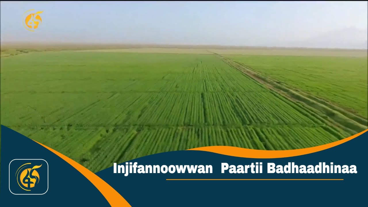 Injifannoowwan Paartii Badhaadhinaa - YouTube