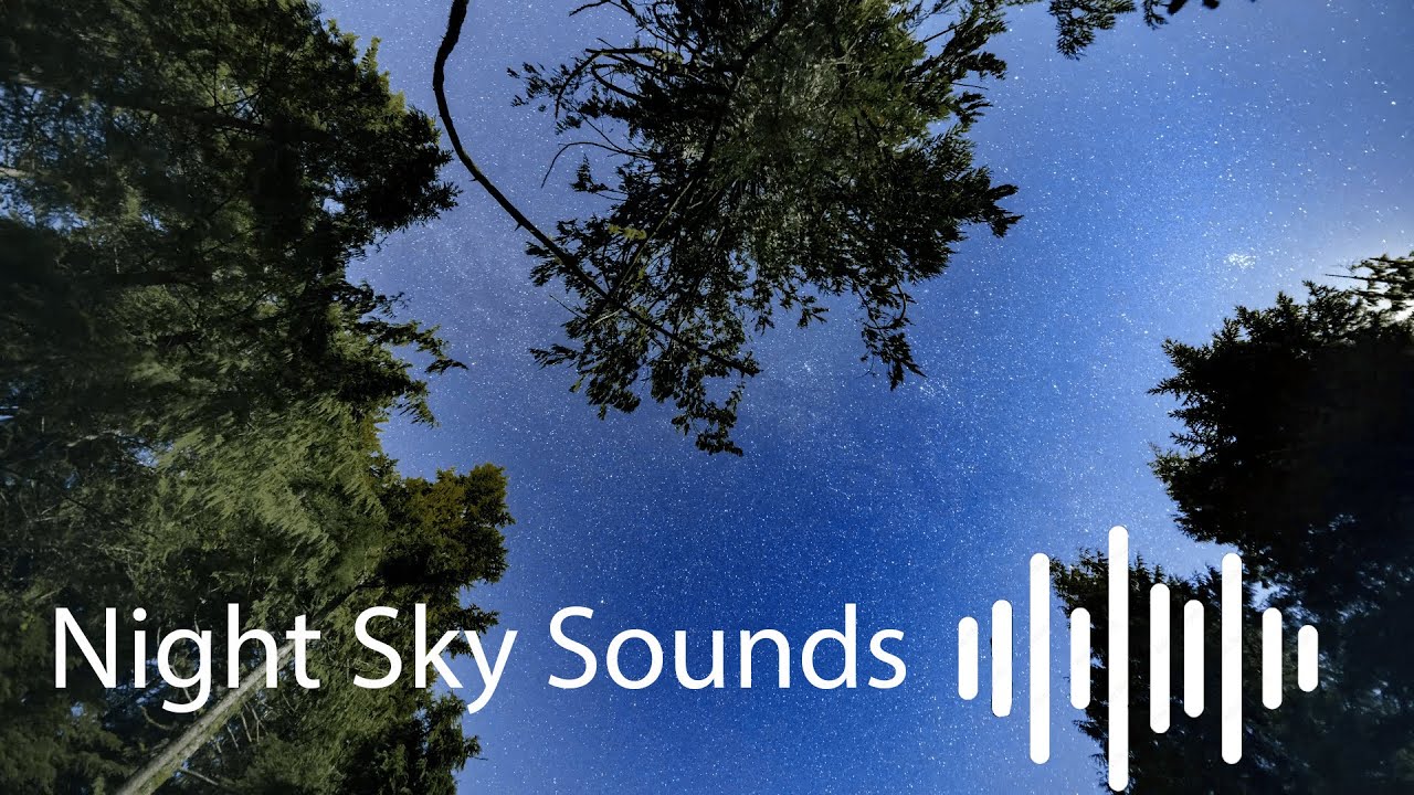 Feel the Nature! Starry NIGHT SKY Ambiance Sounds | 12 Hrs Relaxation ...