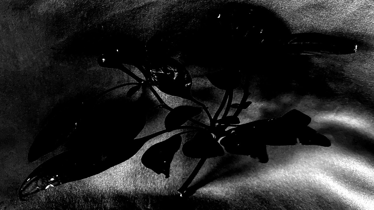 This Cold Night - 1985 - YouTube