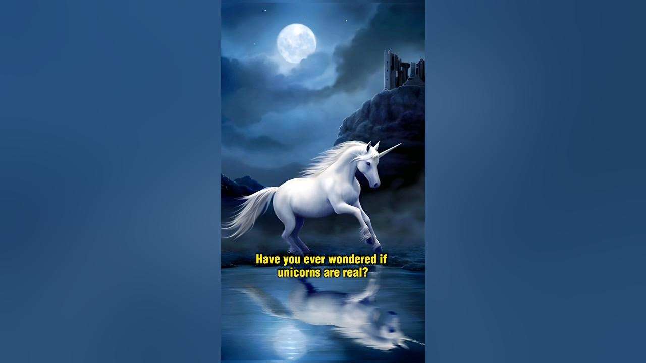 Are unicorns real? - YouTube