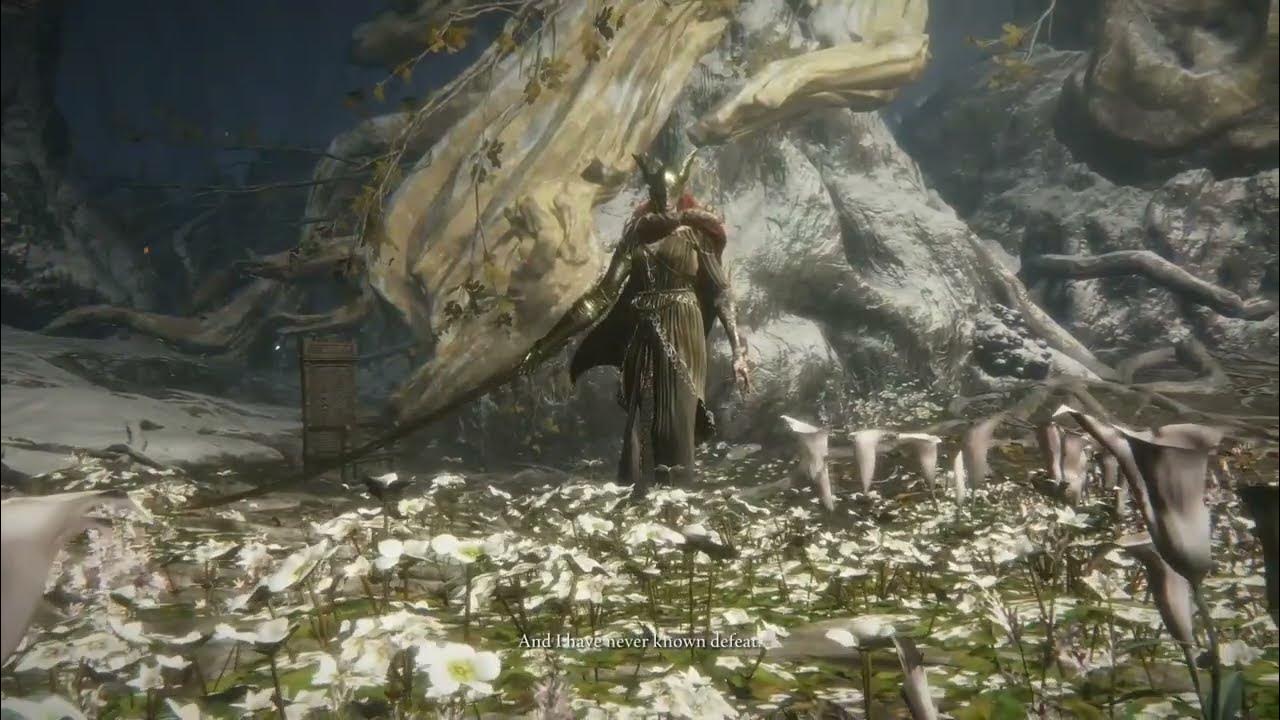 I am Malenia, Blade of Miquella, and I Have Never Known Defeat... - YouTube