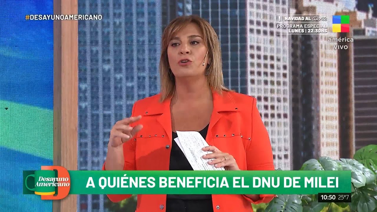 Las repercusiones del DNU que presentó Javier Milei - YouTube