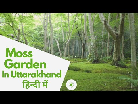 India's First Moss Garden in Nainital Uttarakhand | What is Moss | Why ...