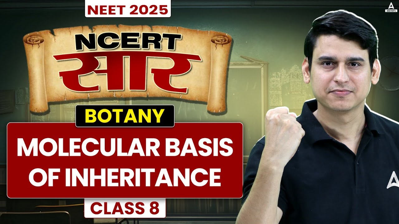 Molecular Basis of Inheritance Class 12 | NCERT सार | Full Biology ...