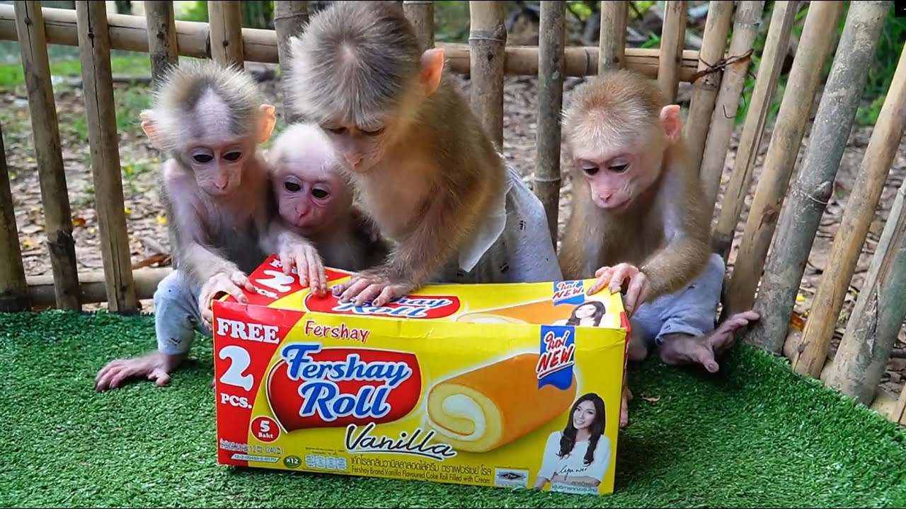 Yummy Adorable Good Action Ploy Jooy Srey Pov & Aroy Request Fershay ...