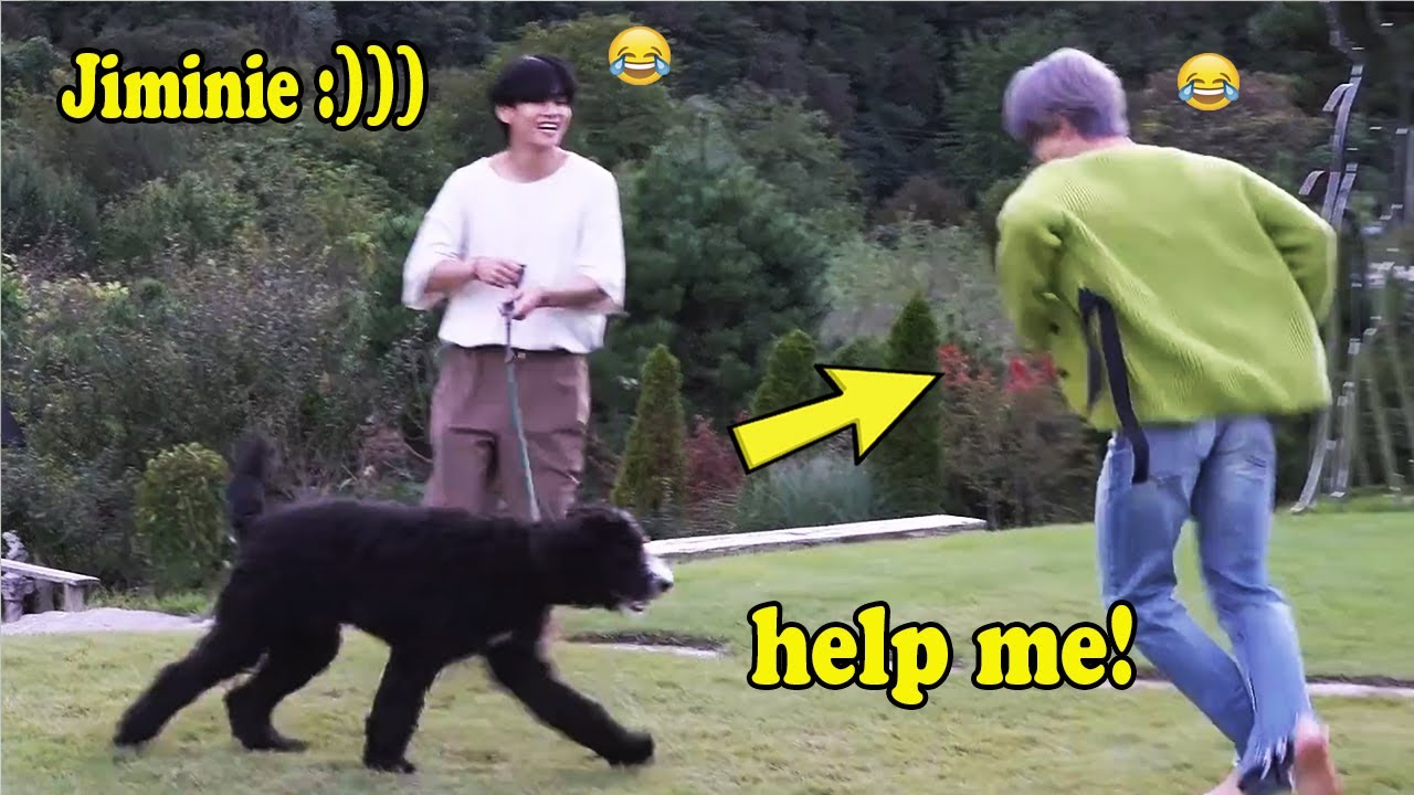 BTS WITH ANIMALS - YouTube