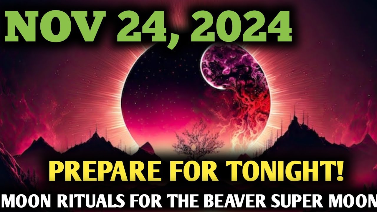 It's Coming! 24 Nov 2024 | BEAVER MOON! Prepare Yourself for the FINAL ...