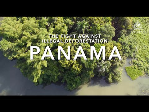 What Has Panama Done To Help Deforestation