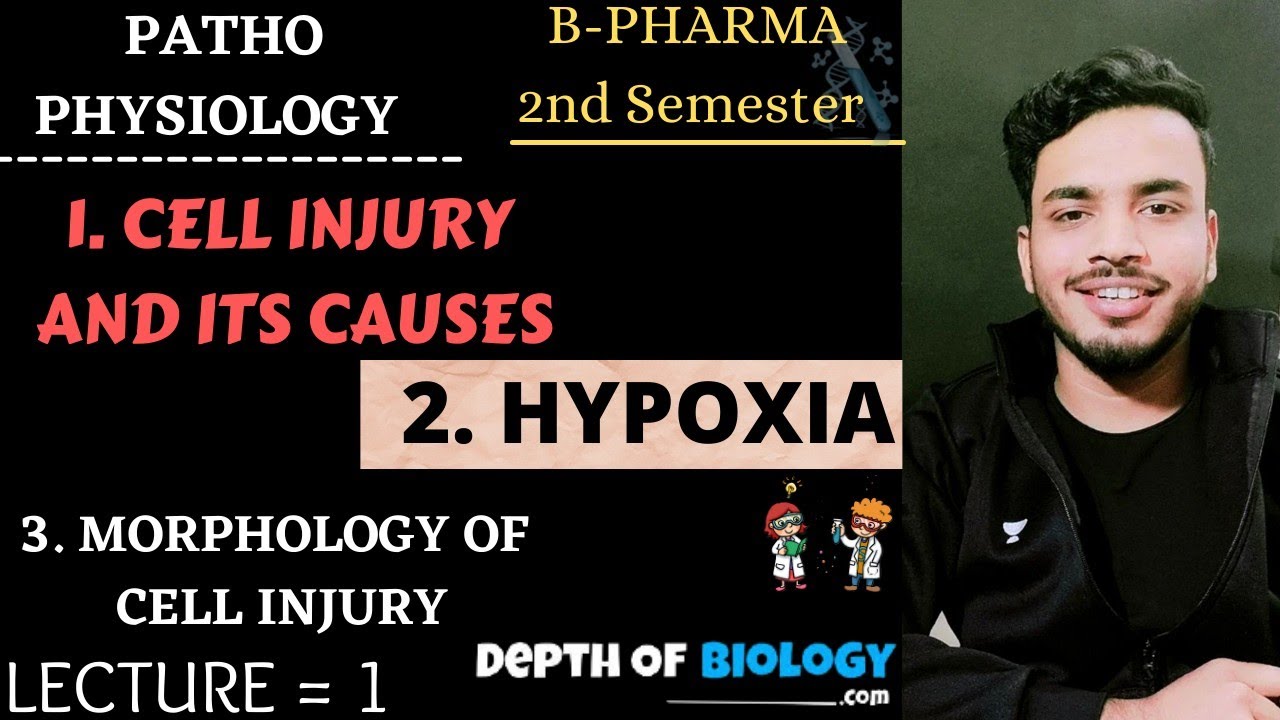 cell injury | causes of cell injury | pathogenesis | cell membrane ...