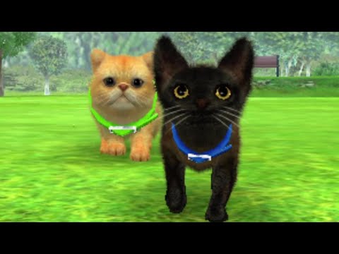 Cat Meets Her Friend At Park! Nintendogs+Cats - YouTube