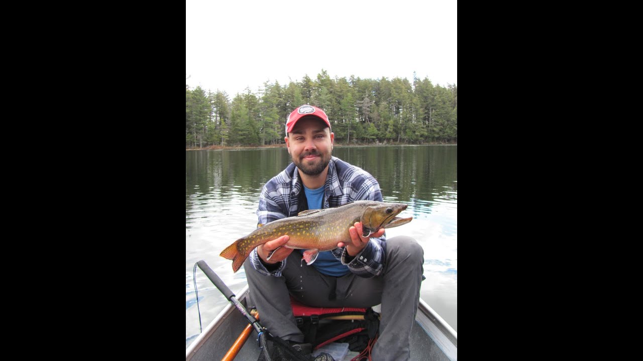 Fishing for BIG brook trout, splake and lake trout in Algonquin Park ...