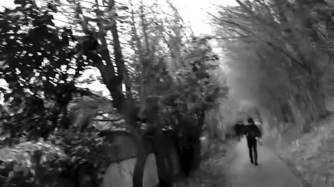 the rotten corpse - YouTube