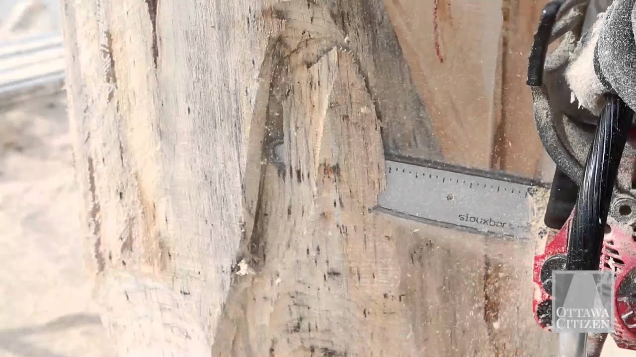 Chainsaw carver works on giant corn cob - YouTube