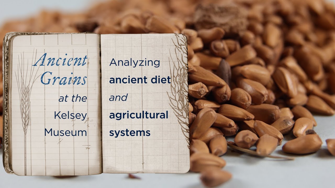 Ancient Grains at the Kelsey Museum - YouTube