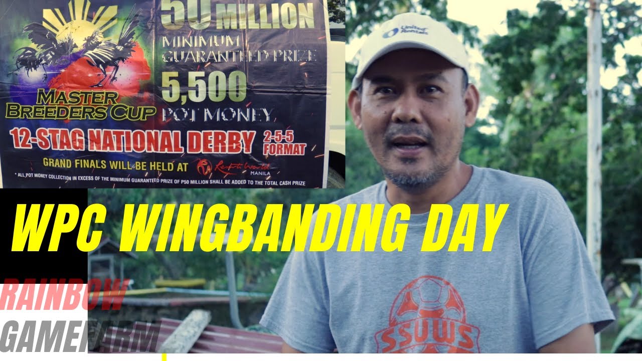WPC Wingbanding day last June 2020 - YouTube