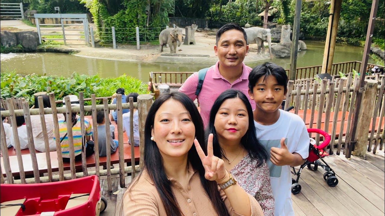 Fun Day At Zoo || Watch Avatar Movie || - YouTube