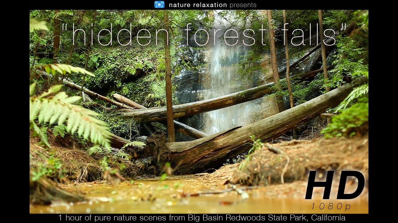 [HD] "Hidden Forest Falls" 1 HR of Redwood Waterfall Scenes from Big ...