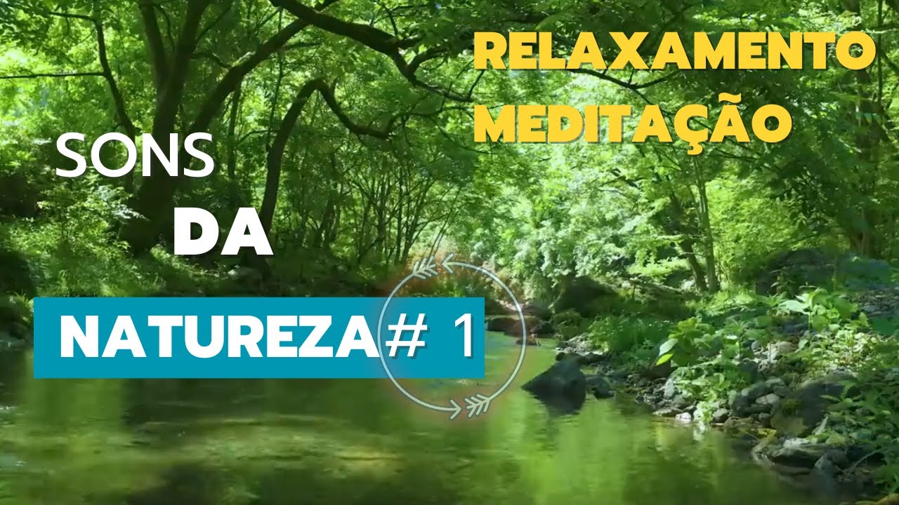 Sons da Natureza: Relaxamento, Foco, Meditação - YouTube