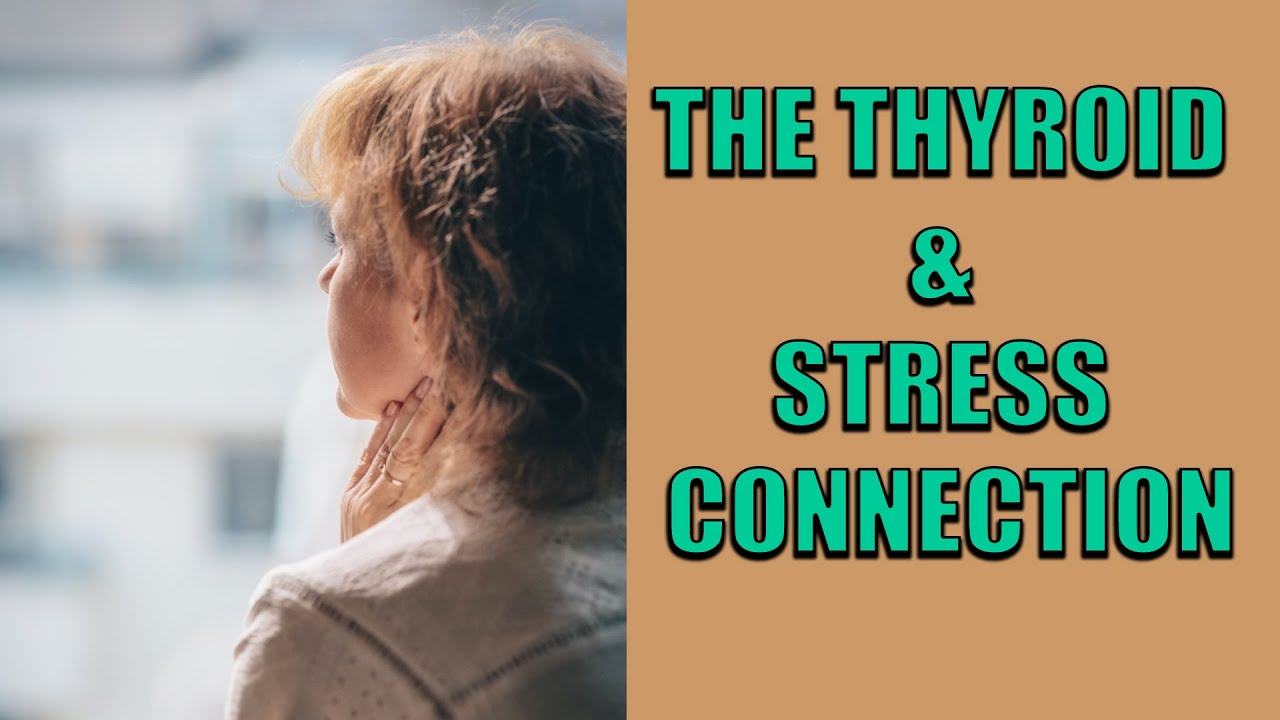 The Thyroid & Stress Connection - YouTube