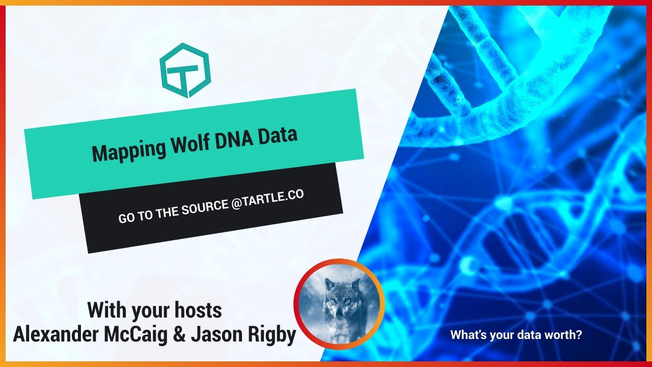 Mapping Wolf DNA Data - YouTube