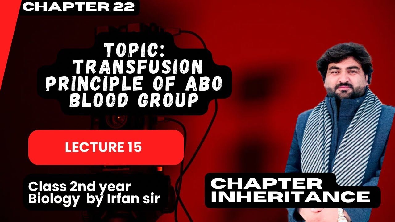 Transfusion principle of ABO Blood Group class 2nd year lecture no 15 ...
