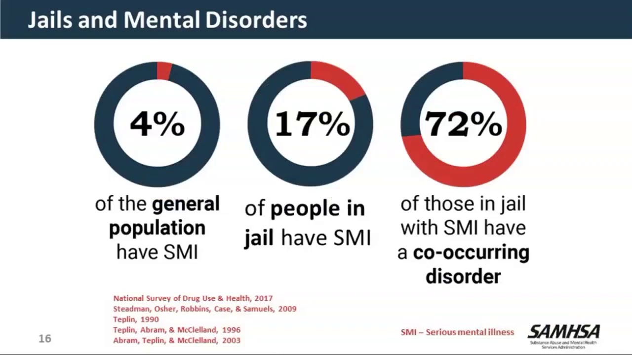 Best Practices in Reentry: The Assess, Plan, Identify, Coordinate (APIC ...