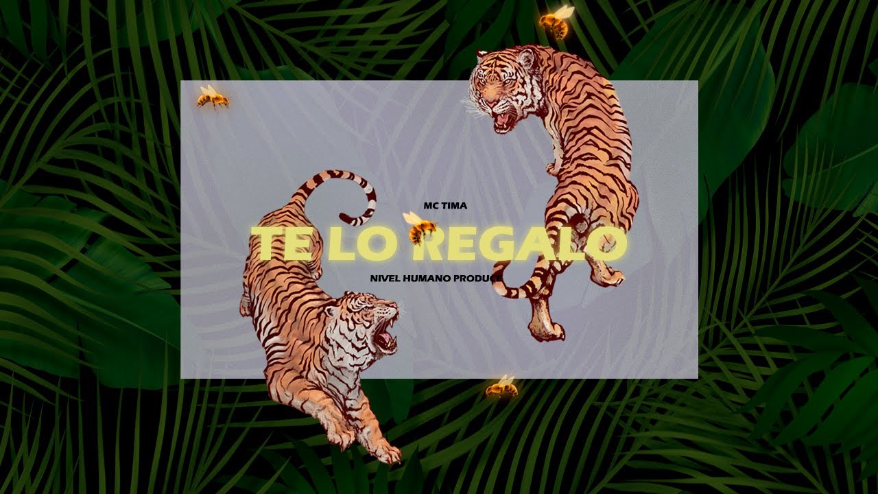 TE LO REGALO 🔥🎶 - Mc Tima (Lyric Video Oficial) Nhprod - YouTube