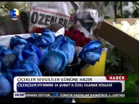 Kanal Fırat Haber - Çiçekler Sevgililer Gününe Hazır