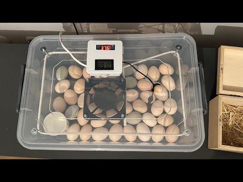 El Yapımı Kuluçka Makinesi