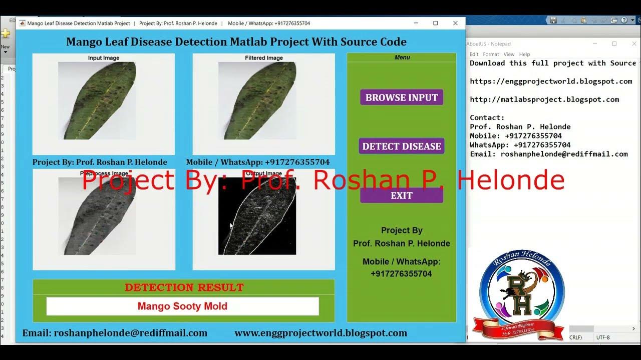 Mango Leaf Disease Detection Using Image Processing With Source Code | Matlab Project Plant ...