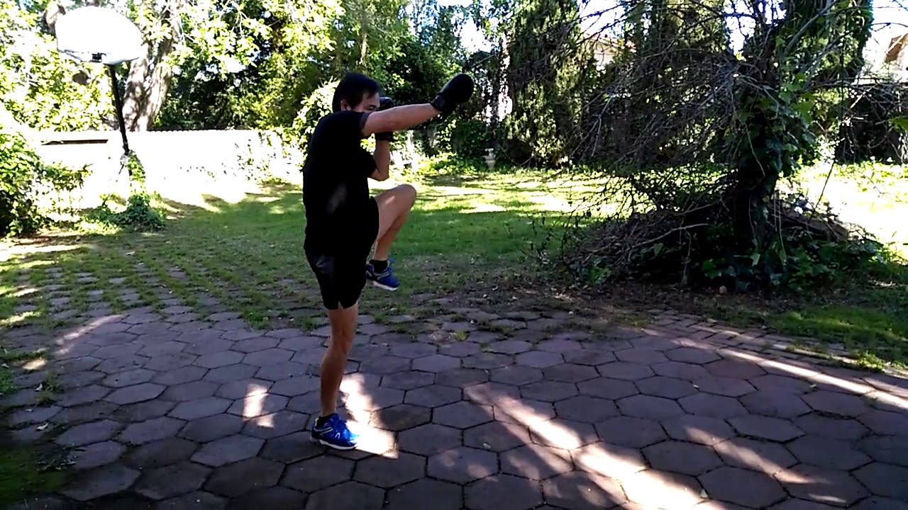 Rick Au Kung Fu--3 minutes combination practise with left hand guard 4/ ...