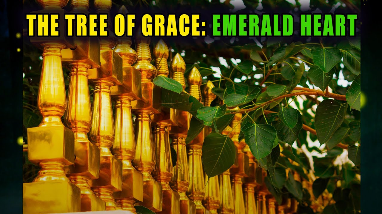 The TREE OF GRACE and the Adventure of the EMERALD HEART! 5/5 ECLIPSE GATEWAY - YouTube