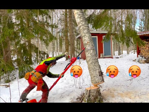 Mie niin taas arvasin, mutta ei tässä muutakaan voinut🫣. Pro Finnish ...