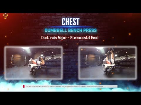 Chest - Dumbbell Bench Press - YouTube