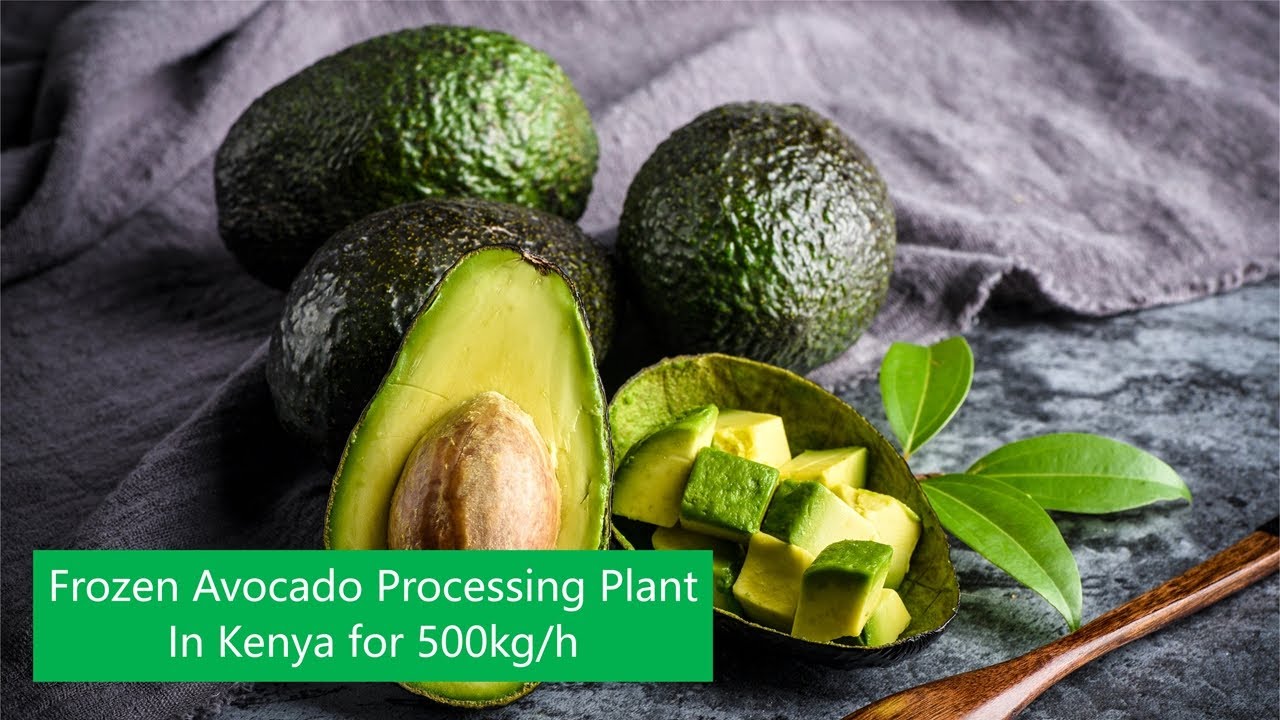 500kg/h Final Frozen Avocado Processing Plant in Kenya - YouTube